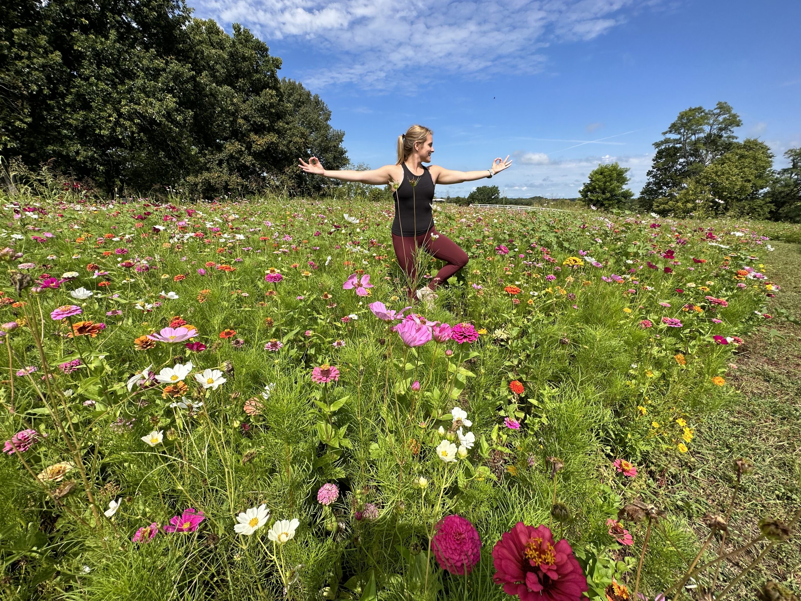 Sunset Yoga - Shaker Village of Pleasant Hill